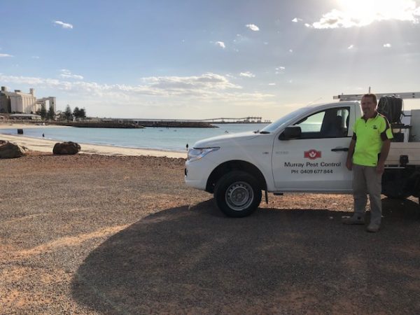 Yorke Peninsula Pest Control Landing Page - Murray Pest Control