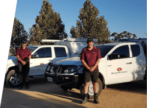 Contact Murray Pest Control
