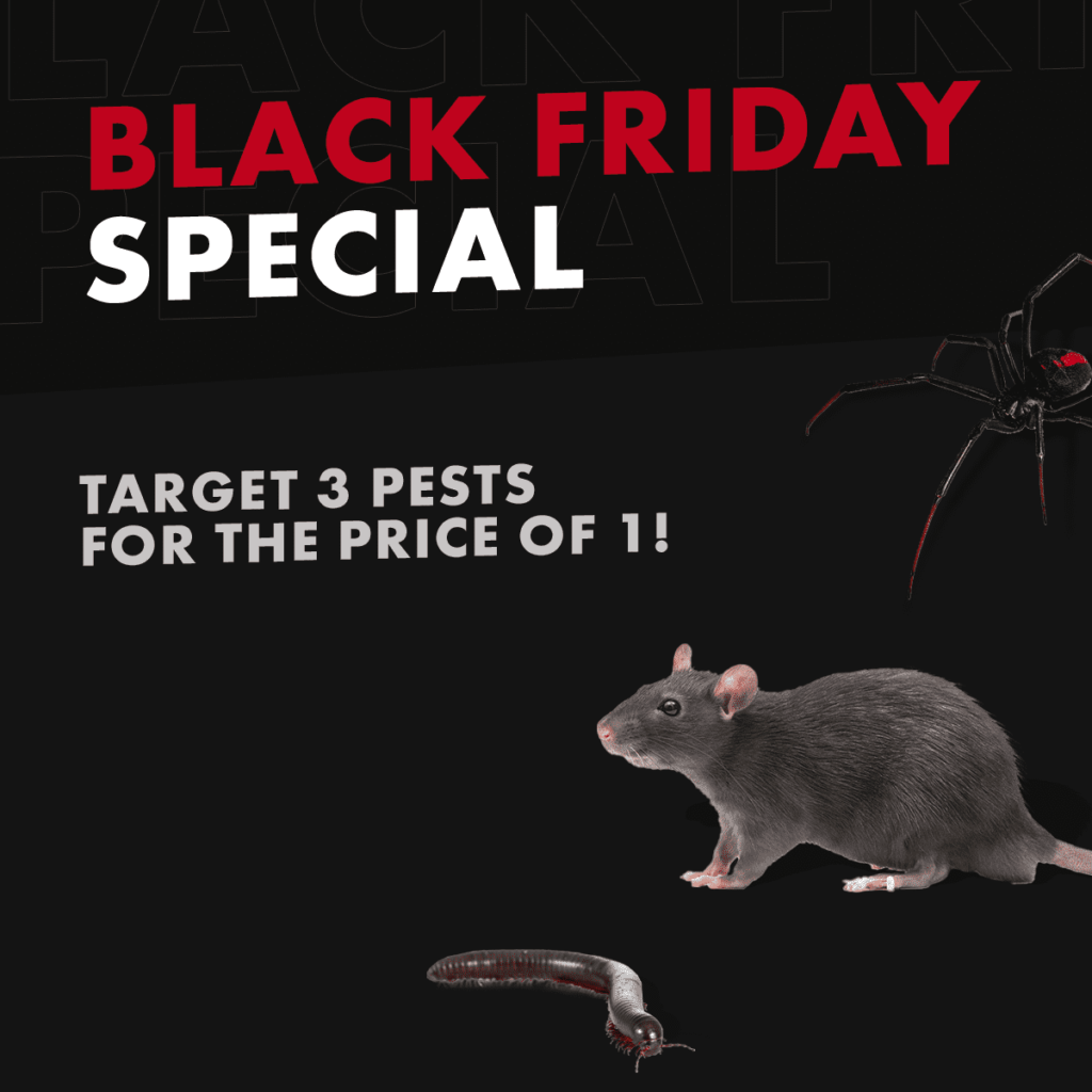 Products Archive - Murray Pest Control