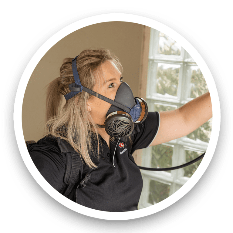 Pest Control Adelaide | Adelaide Pest Control & Pest Inspections