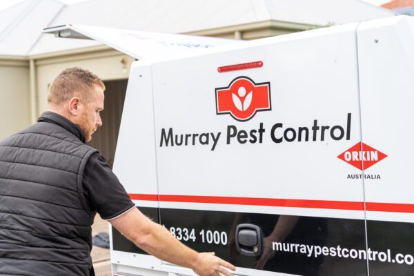 Contact Murray Pest Control
