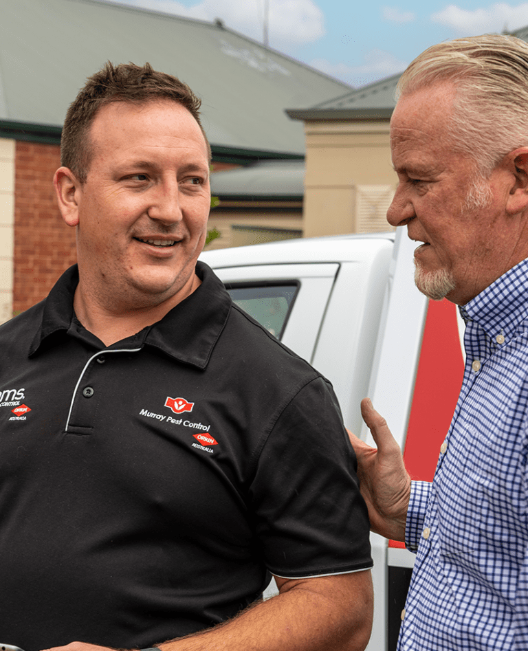 Termite Inspections & Treatment | Extermination & Protection in Adelaide